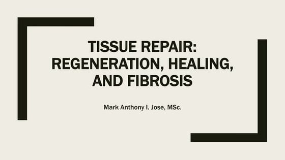 Tissue repair, regeneration and wound healing (1) | PPT | Biological ...