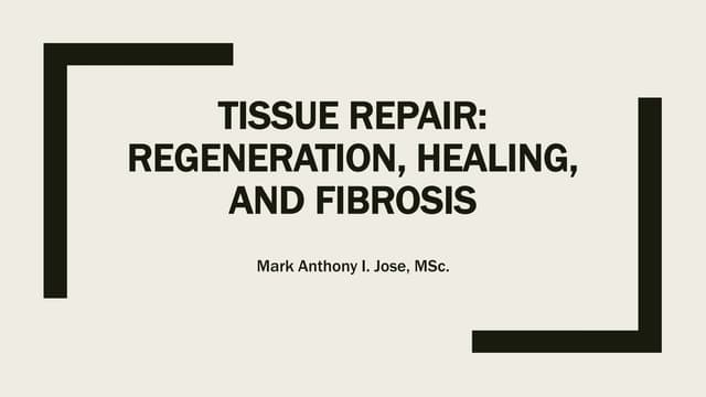 Tissue repair, regeneration and wound healing (1) | PPT