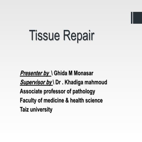 Tissue repair, regeneration and wound healing (1) | PPT