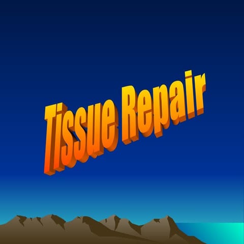 Tissue Repair.ppt Tissue repairs and tissue | PPT