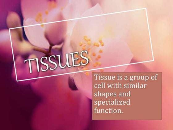 TISSUES Class - 9th | PPTX
