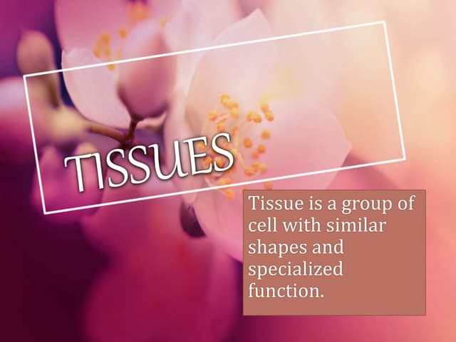 TISSUES Class - 9th | PPTX