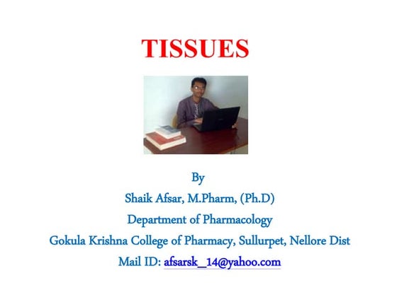 2 overview of tissues and epithelial tissue | DOCX