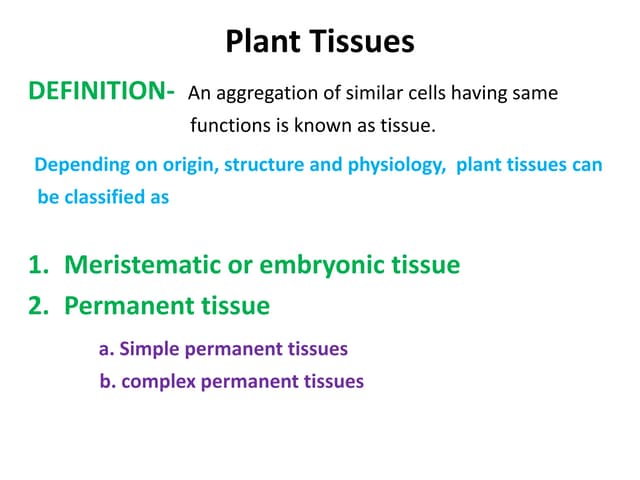 Simple and complex tissue (permanent tissue) | PDF
