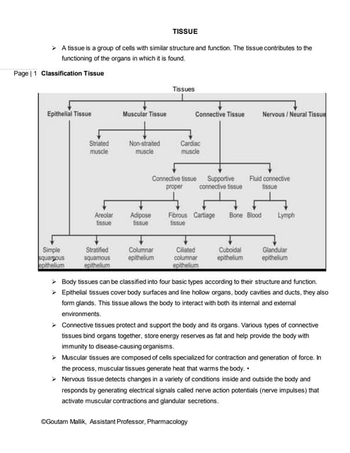 Lec. 5 insect cuticles.ppt