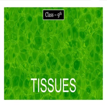Tissues Class 9 ppt | PPTX