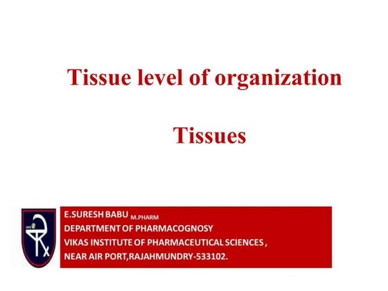 Tissues, types and functions(Anatomy)- Easy explanation | PPT