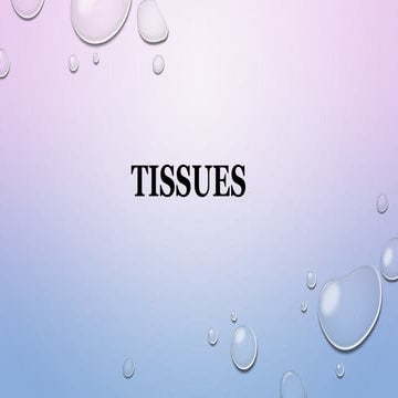 TISSUES ANATOMY AND PHYSIOLOGY LECTURE PPT | PPTX