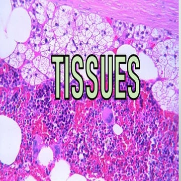 Tissue on our body HEALTH ASSESMENT SUBJECT | PPTX
