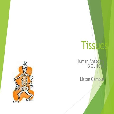 Presentation on Tissues (the medical kind) | PPT