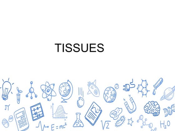Lesson 4 Cell Modifications | PDF | Biological Sciences | Science
