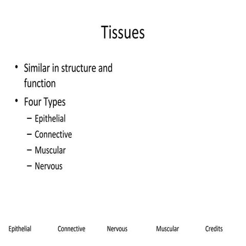 Tissues Jordan Rudack2 | PPT