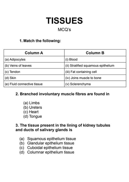 Mcq's of class 9 chapter Tissues | PDF