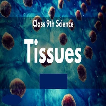 Tissues ppt- class 9 | PPTX
