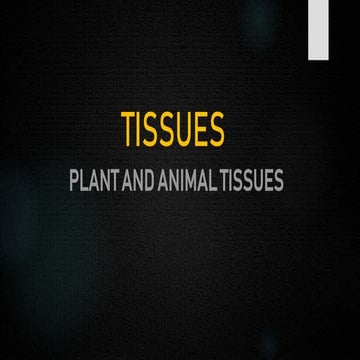 Tissues (1).pptx FOR CLASS 8 AND 9 FOR ICSE | PPTX