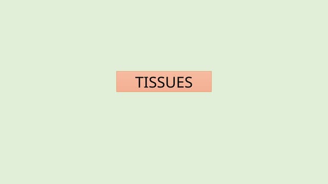 Plants and Animals Tissues | PPTX