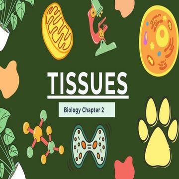 Tissues Biology.pptx