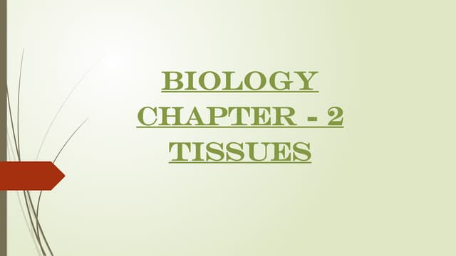 Plant tissues, 9 cbse | PPTX