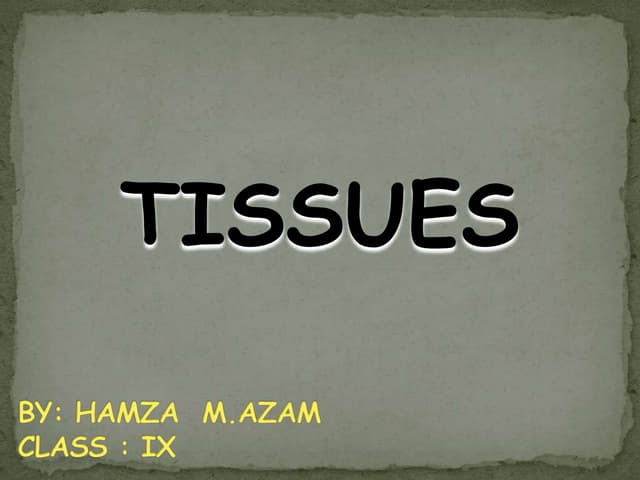 Plant tissues, 9 cbse | PPTX