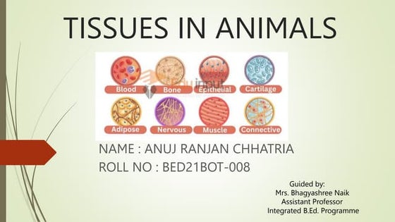 types of animal tissues class 9 | PPTX | Bone and Joint Conditions | Diseases and Conditions
