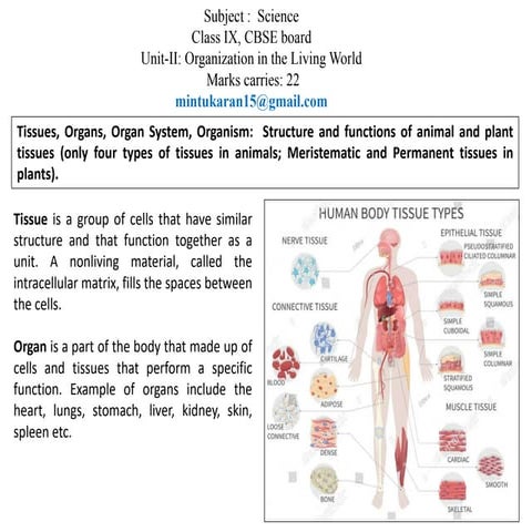 Tissues, Organs, Organ System, Organism_2_IX_CBSE.pptx