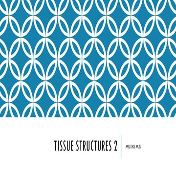 TISSUE STRUCTURES 2.pptx notes on histology | PPTX