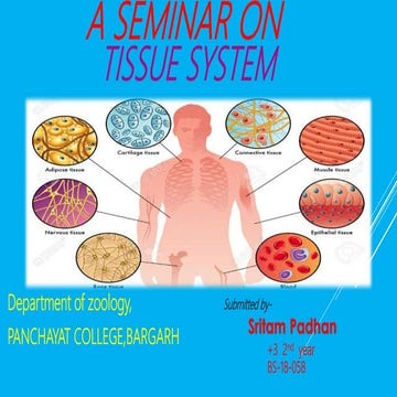 Seminar on TISSUE SYSTEM.pptx