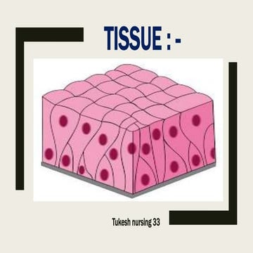 Tissue its types, structure and function | PPTX