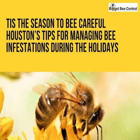 Tis the Season to Bee Careful Houston’s Tips for Managing Bee Infestations During the Holidays.pdf