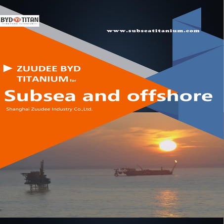 Titanium for subsea and offshore industry catalogue en.pdf