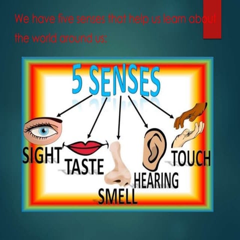 FIVE SENSES | PPT