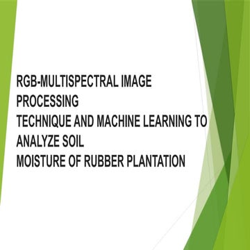 (Title_Defense) RGB-MULTISPECTRAL IMAGE PROCESSING.pptx