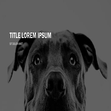 Title Lorem Ipsum for the many audience in manifestasi.pptx
