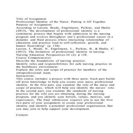 Title of AssignmentProfessional Identity of the Nurse Putting i | DOCX
