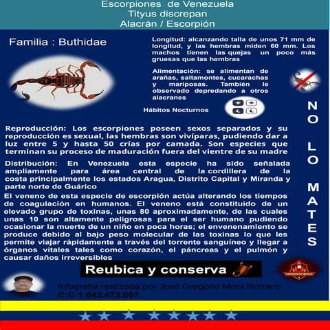 infografia sobre escorpiones Tityus discrepan.pptx
