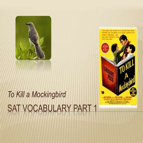 To Kill a Mockingbird Vocabulary Words 1-25 | PPTX