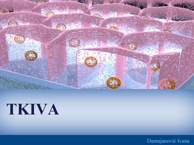 žIvotinjska tkiva | PPTX