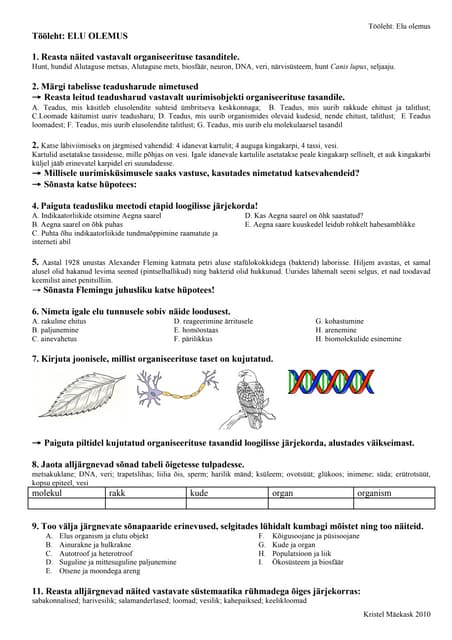 Taimerakk ja seenerakk | PPT
