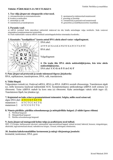Taimerakk ja seenerakk | PPT