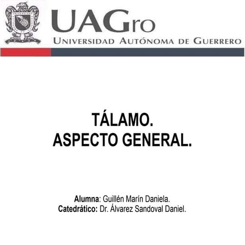 Tálamo, ASPECTO GENERAL. DR. RICHARD SNELL | PPSX