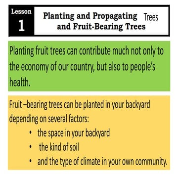 TLE 6 Q2 MODULE 1.pdf - teaching materials | PDF