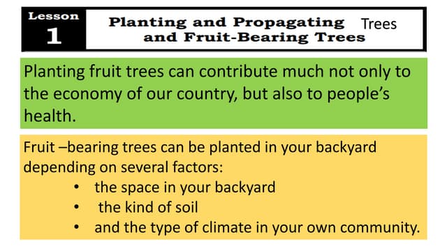 TLE 6 - Agriculture | PPTX