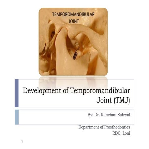 Temporomandibular Joint.pptx