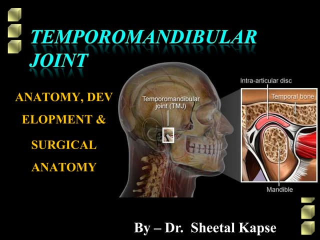 The maxillary nerve | PPTX | Ear, Nose and Throat Conditions | Diseases ...