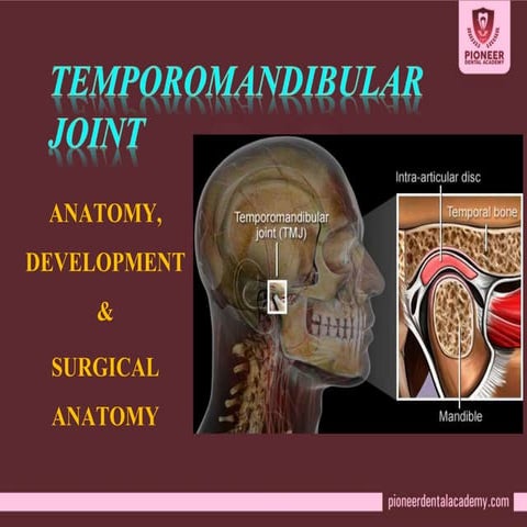 TMJ PPT By Dr.Nasser | PPTX