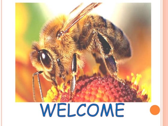 Pests of honey bee and their management.pptx