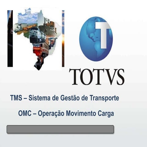 Tms Operador Logístico | PPT