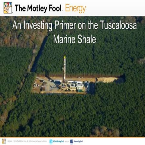 Investing in the Tuscaloosa Marine Shale | PPTX | Commodities | Economy