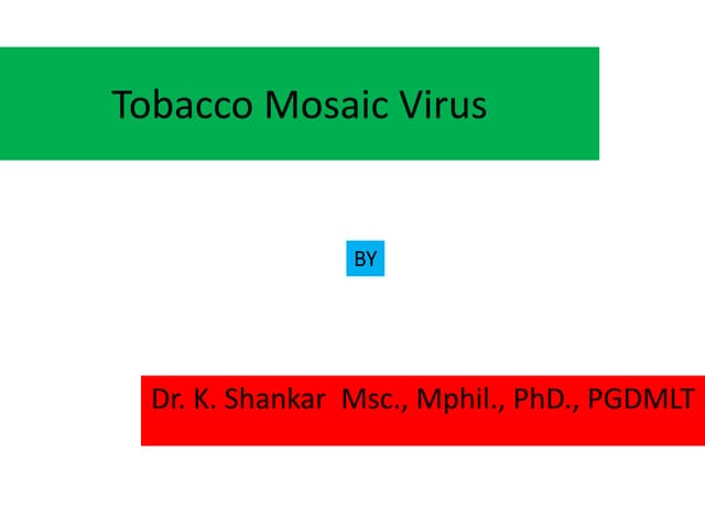 Tobacco Mosaic Virus (TMV) | PPT