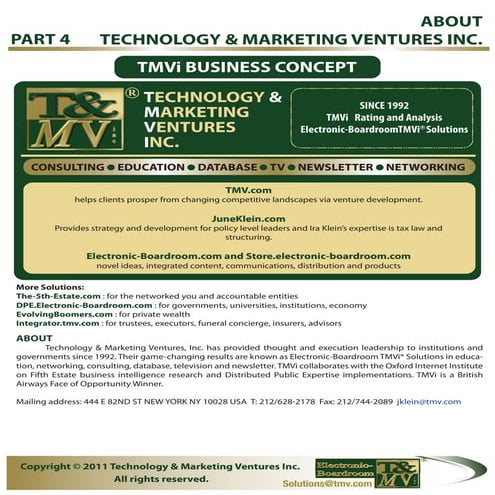 TMVi Business Concept | PDF